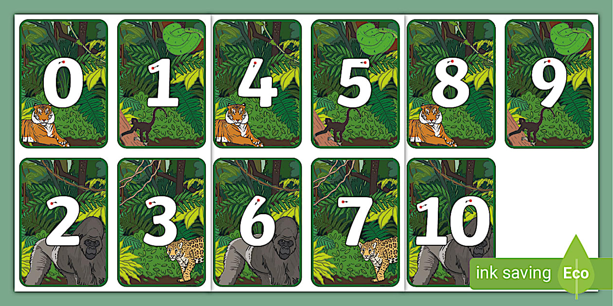 Jungle Themed Number Formation Number Cards (teacher made)