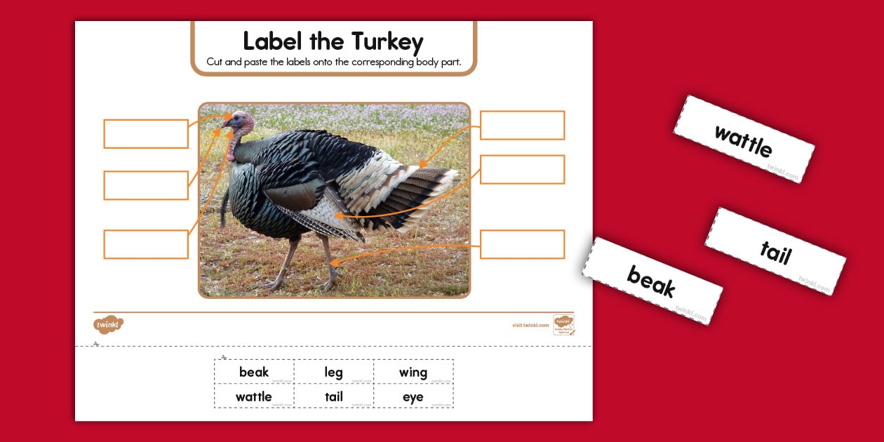 Early Childhood Label the Turkey Cut and Paste Worksheet