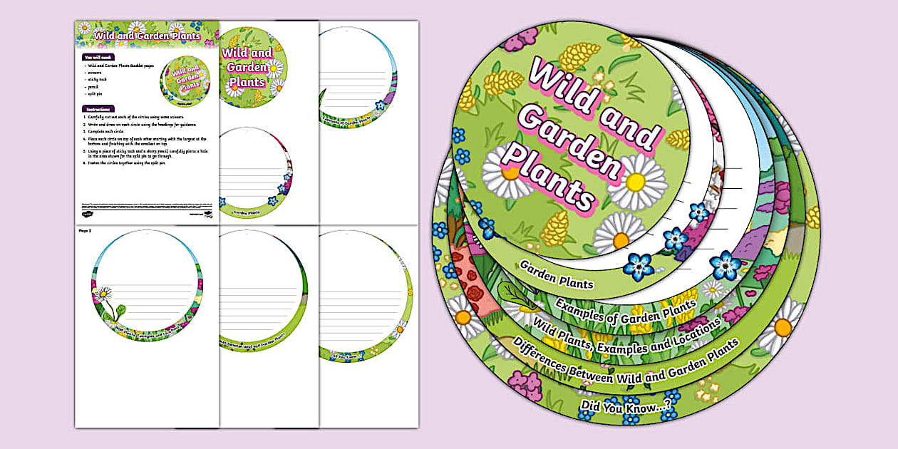 Wild and Garden Plants Circles Booklet (teacher made)