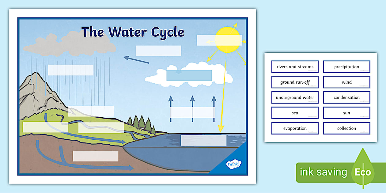 Label the Water Cycle Worksheet - Twinkl