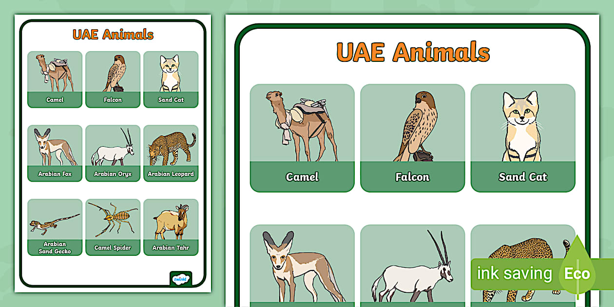 UAE Animals Poster