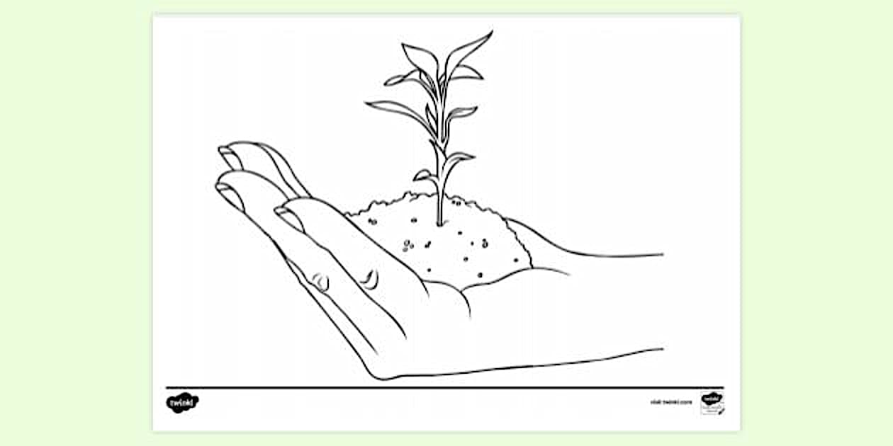 Plant Growing in Hand Colouring | Colouring Sheets - Twinkl
