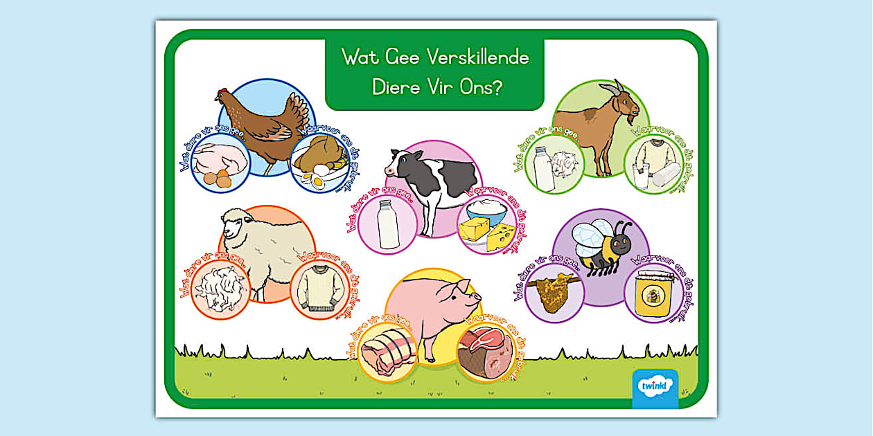 Wat Gee Verskillende Diere Vir Ons? Plakkaat - Twinkl
