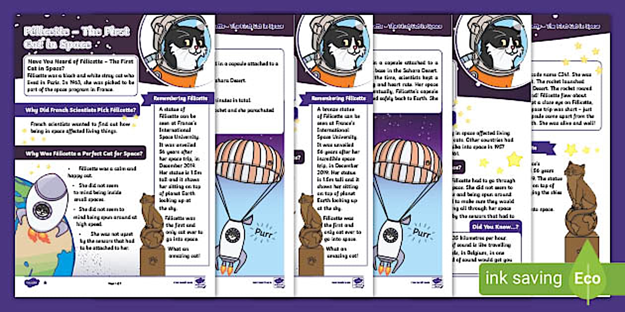 Félicette – The First Cat in Space Differentiated Fact File