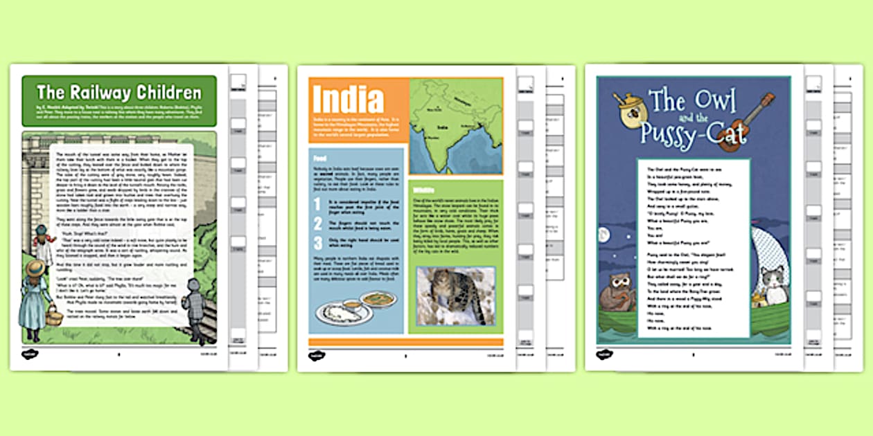 Year 3 Term 3 Reading Assessment Pack (teacher made)