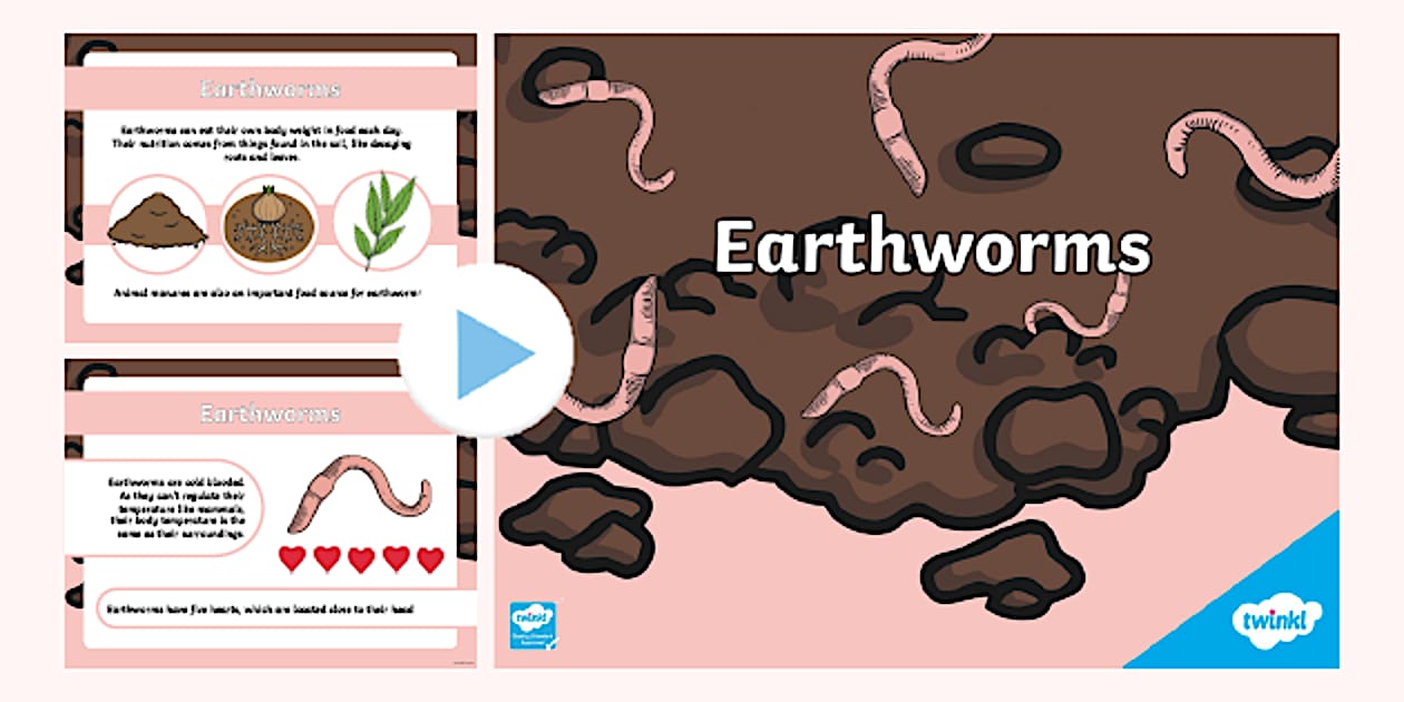 Earthworms (teacher made) - Twinkl