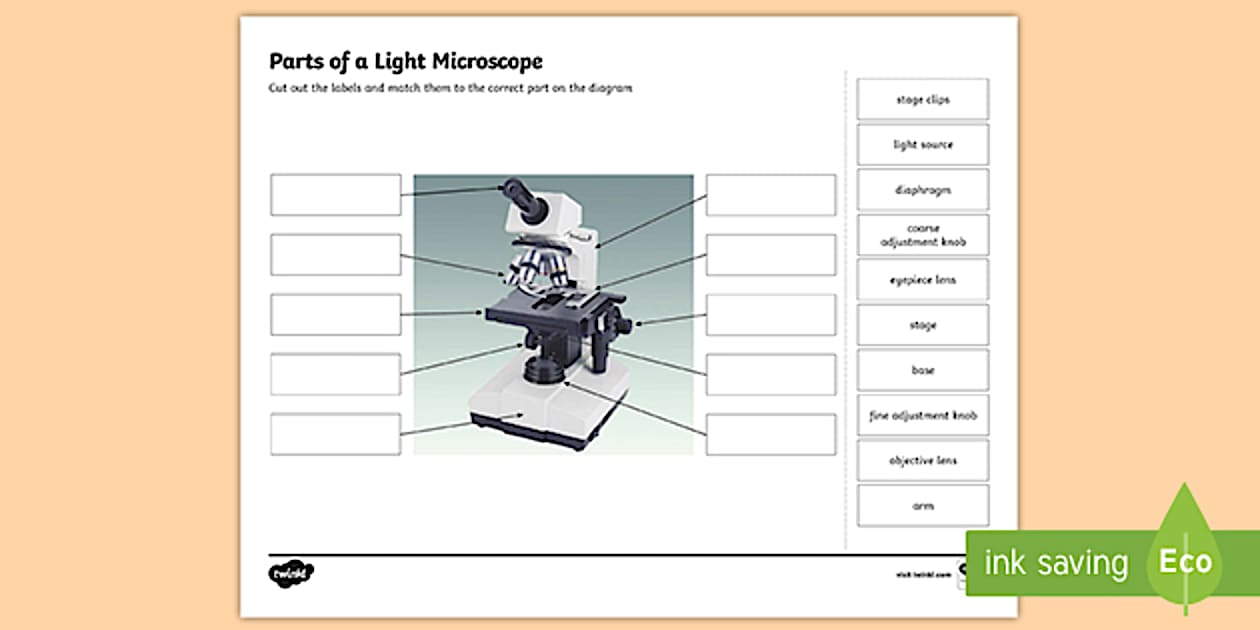 Parts of a Microscope Worksheet | Labeling Task - Twinkl