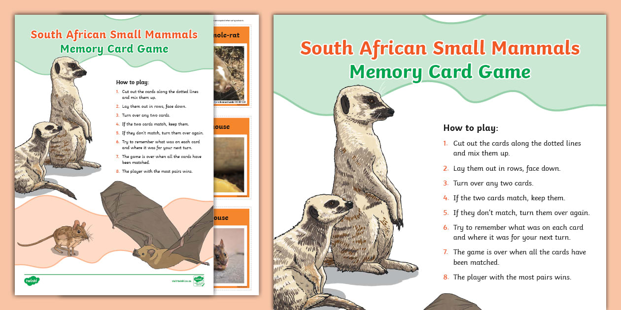 South African Small Mammals Memory Card Game (teacher made)