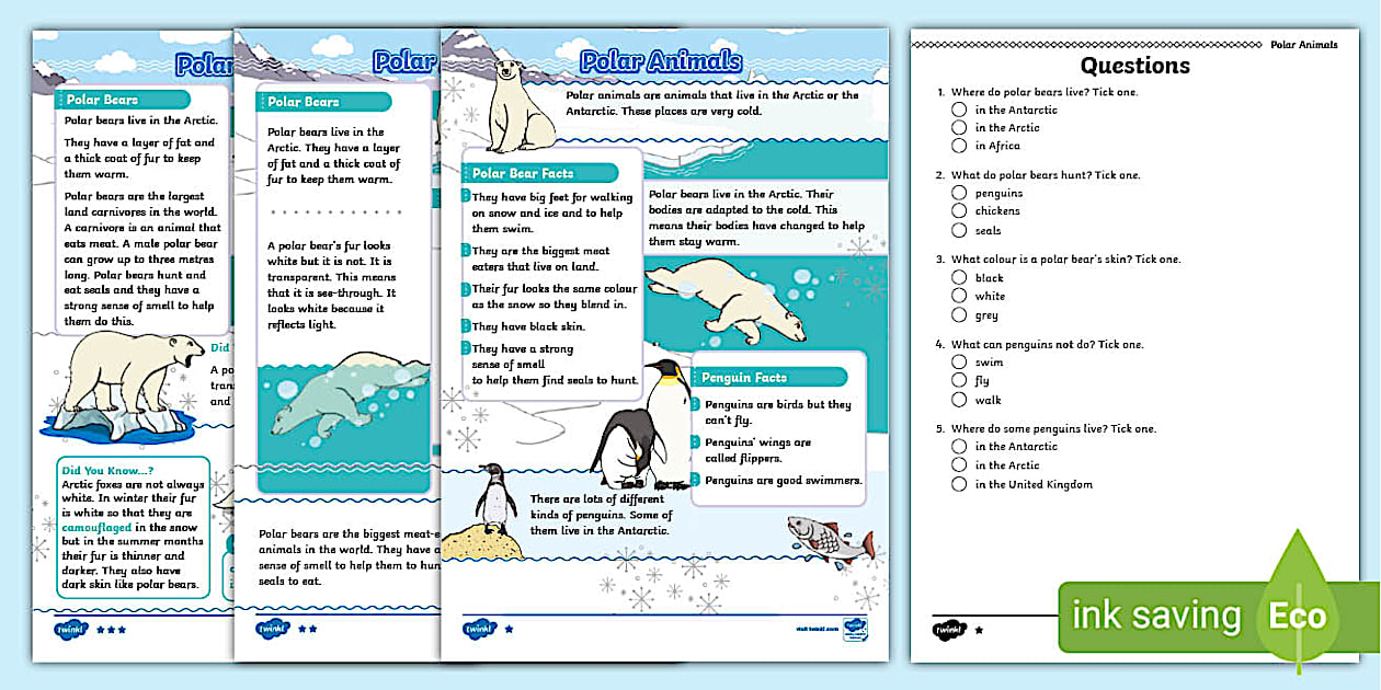 Editable KS1 Polar Animals Differentiated Reading Comprehension Activity