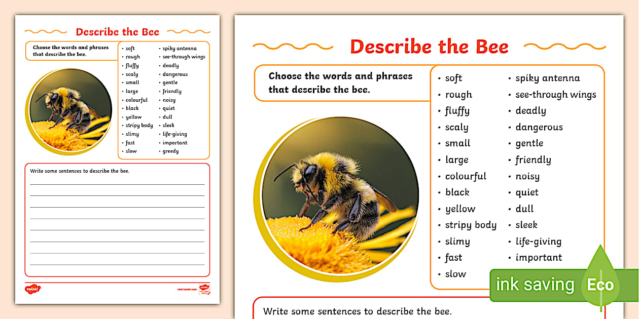 Describe the Bee Writing Activity Sheet (teacher made)