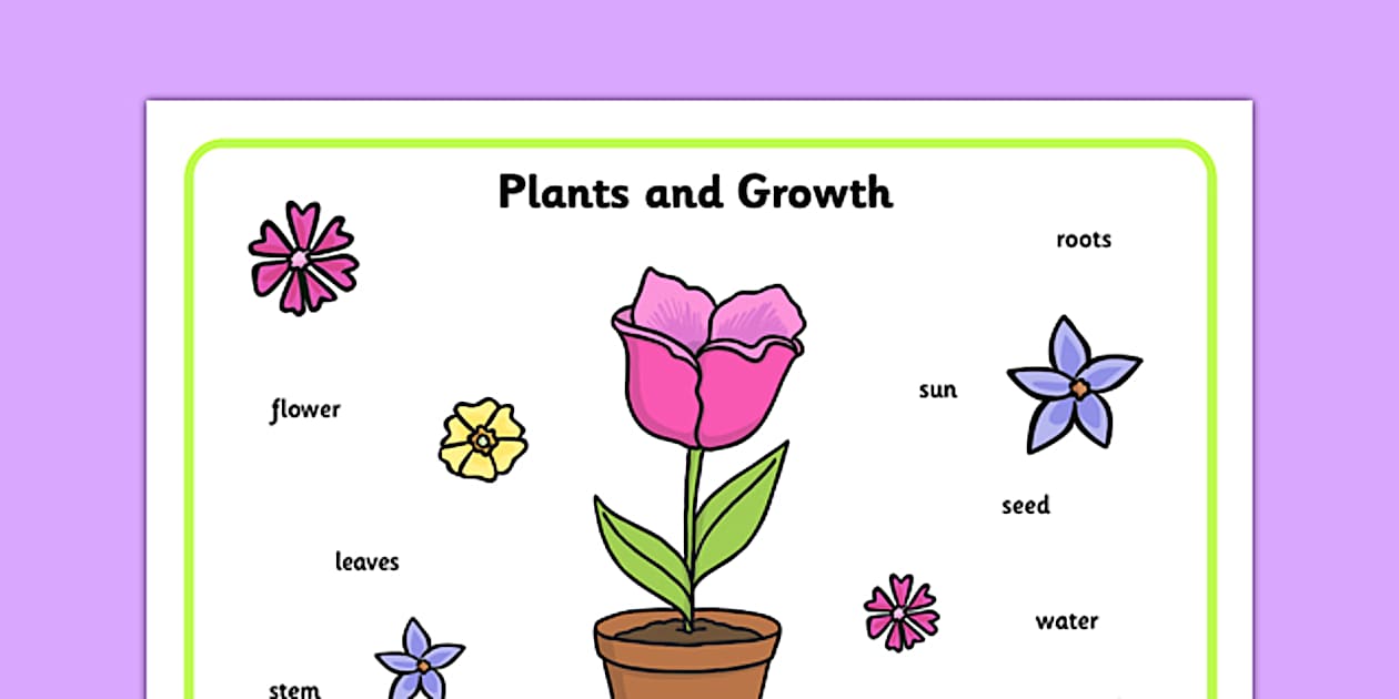 Cursive Plant Growth Word Mat (Hecho por educadores)