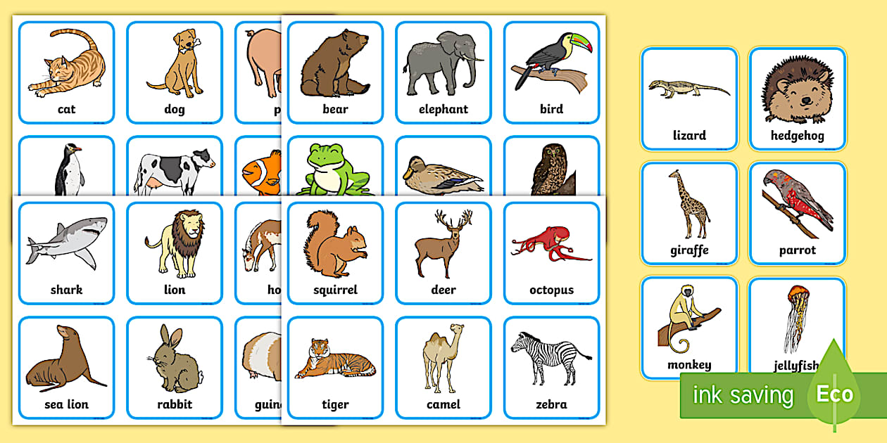 Editable Animal Cards (teacher made) - Twinkl
