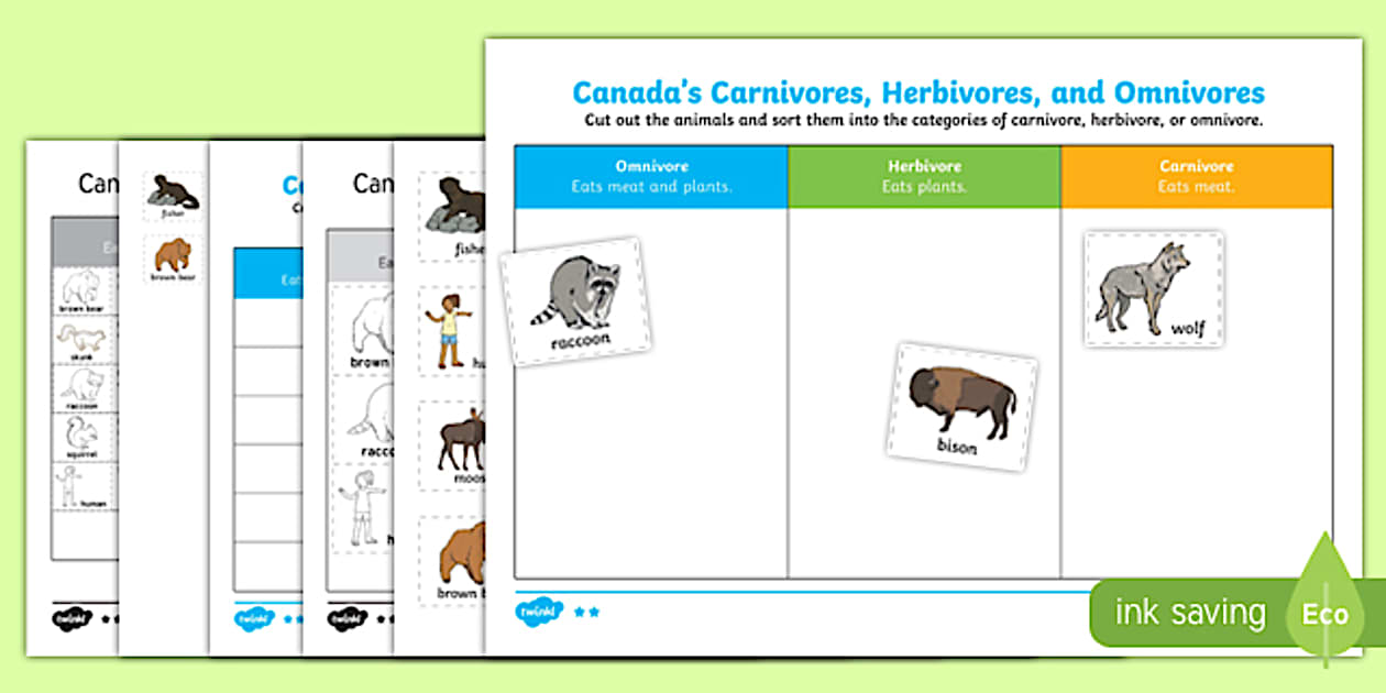 Carnivores, Herbivores, and Omnivores Worksheet - Twinkl