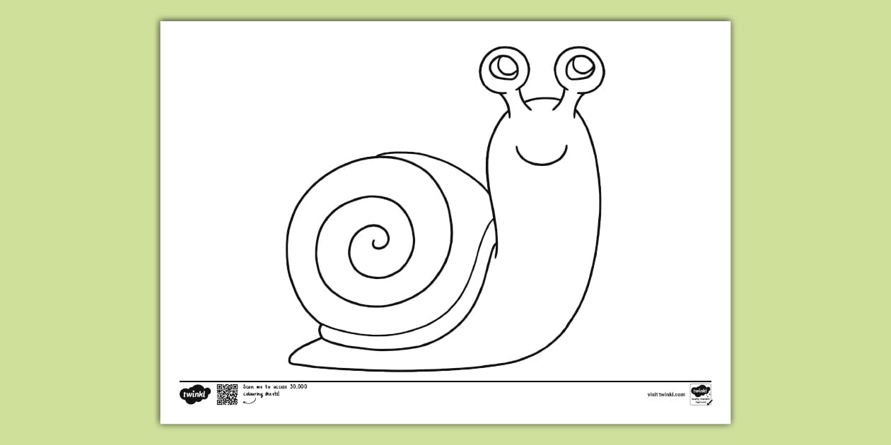 Snail Template Colouring Sheet (teacher made) - Twinkl