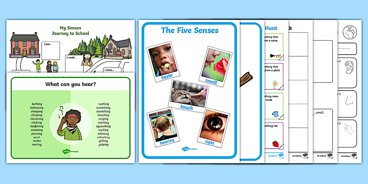 The 5 Senses: All Five Senses Resource Pack - Twinkl