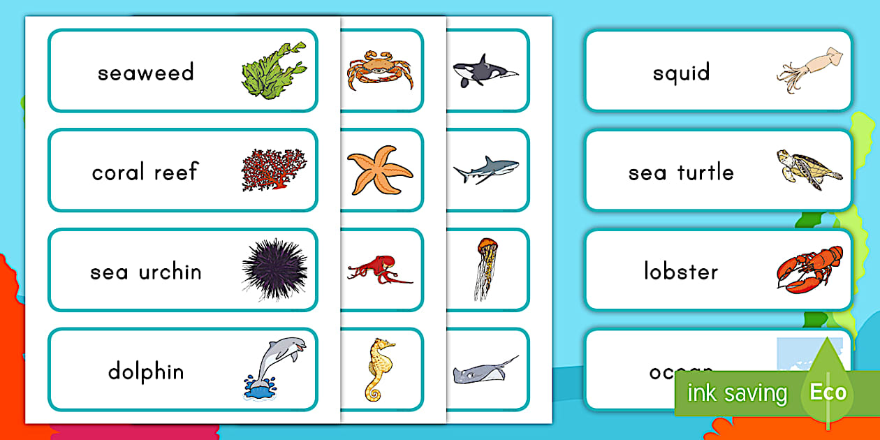 Printable Ocean Words Cards | World Ocean Day | Twinkl USA