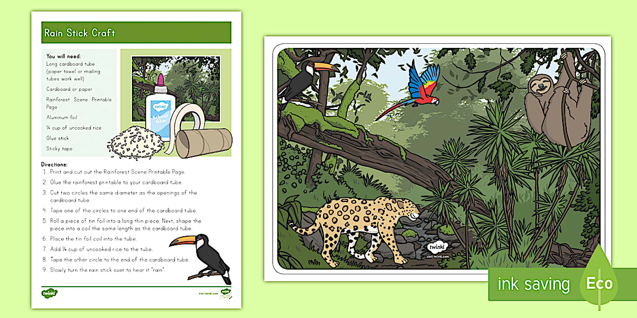 Rain Stick Craft - Rainforest - Art - Classroom Activity