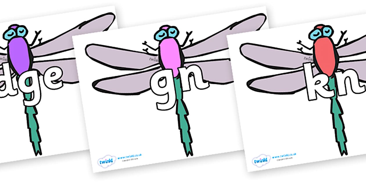 Cursive Silent Letters on Dragonflies (teacher made)