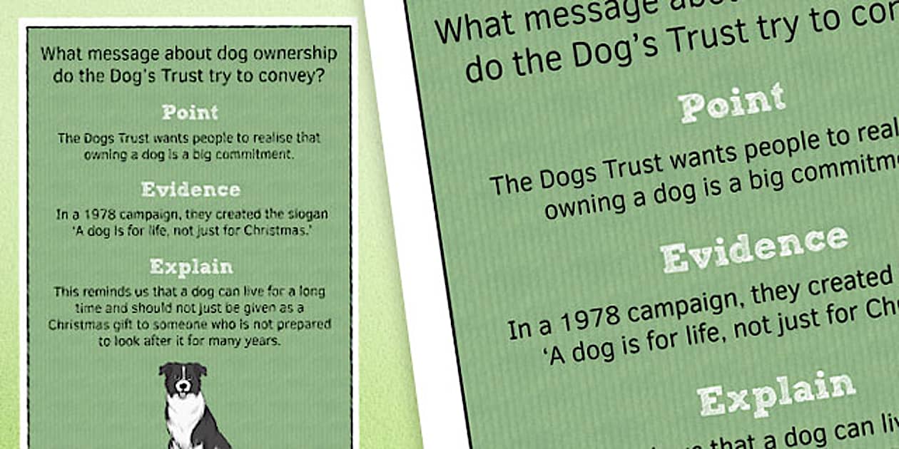 Point Evidence Explain Poster 4 (Teacher-Made) - Twinkl