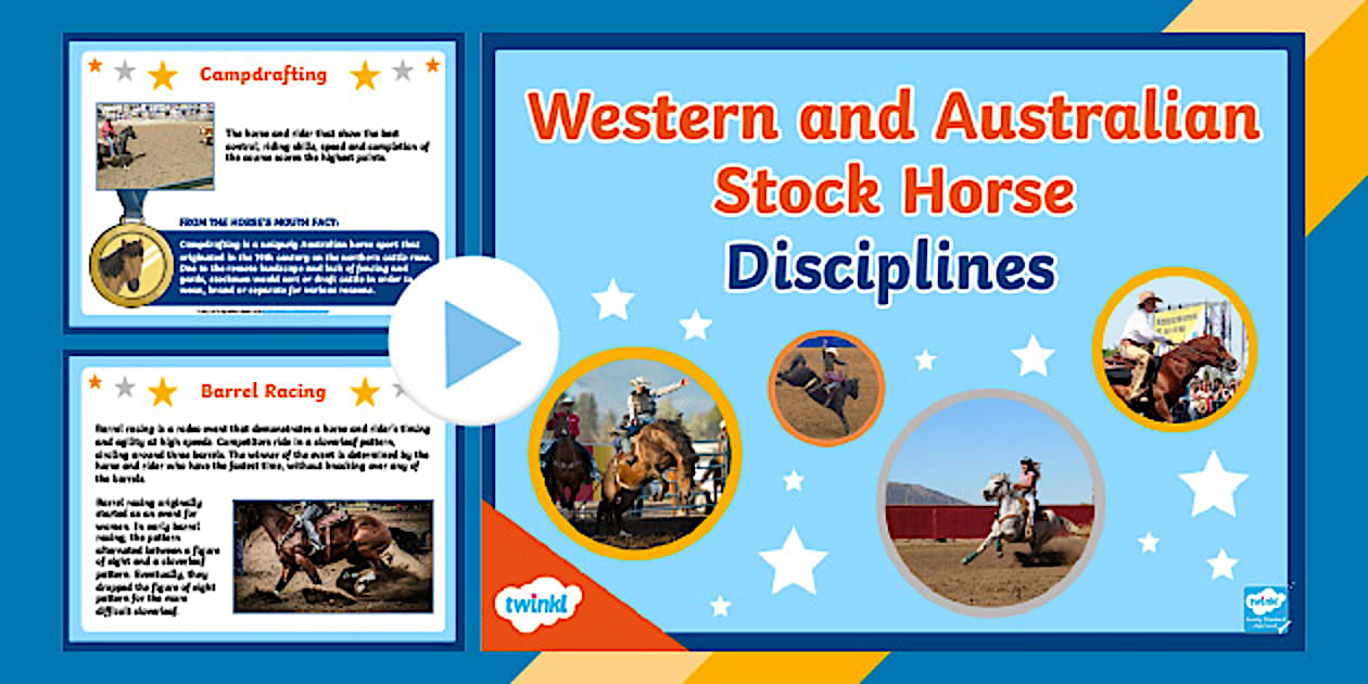 Western and Australian Stock Horse Disciplines PowerPoint
