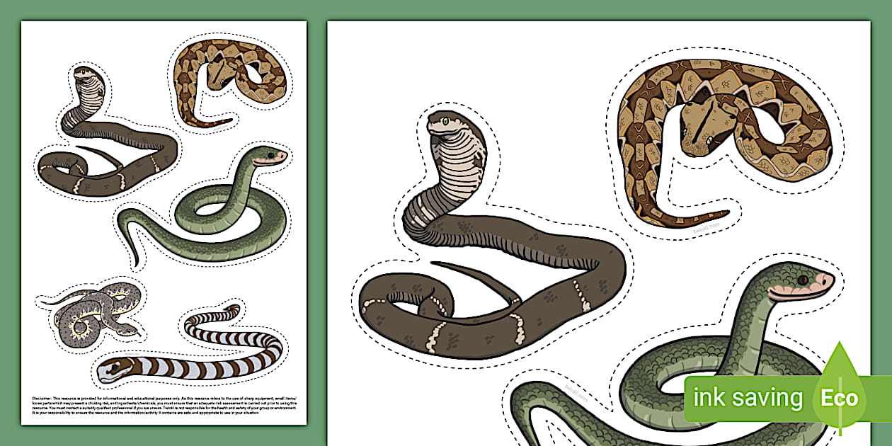 Snake Clip Art Cut-Outs (teacher made) - Twinkl