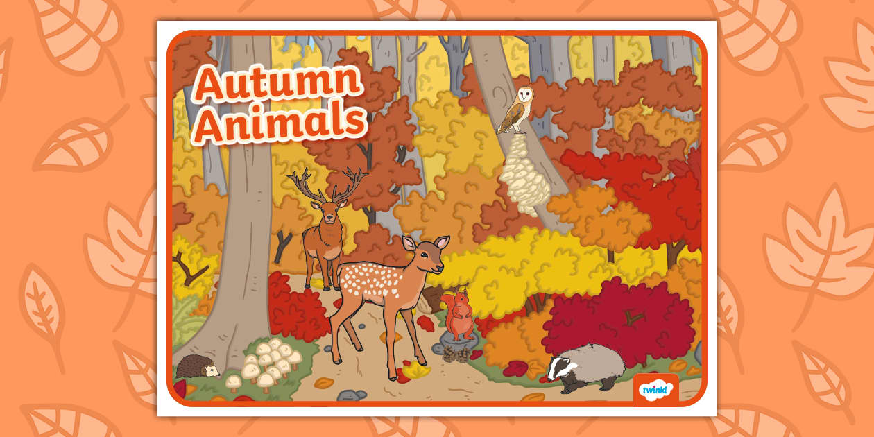 Autumn Animals Display Poster (Teacher-Made) - Twinkl