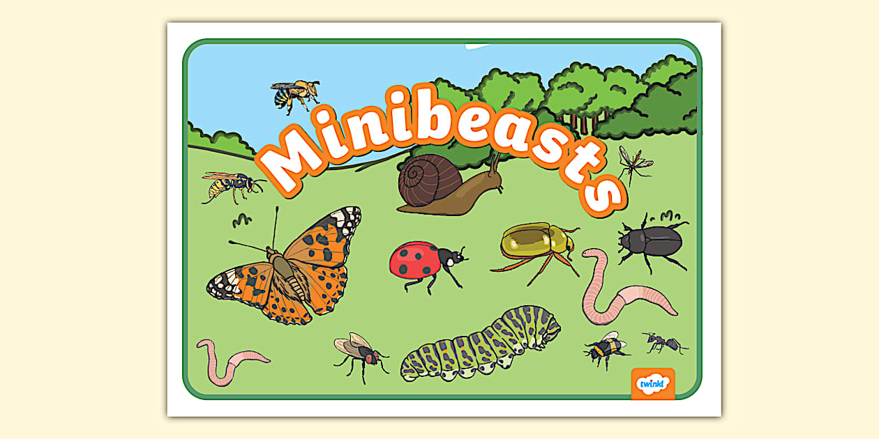 Minibeasts Display Poster (teacher made) - Twinkl