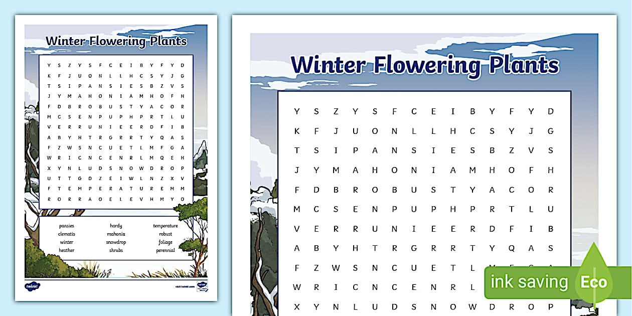 Winter Flowering Plants Word Search | Twinkl Resources