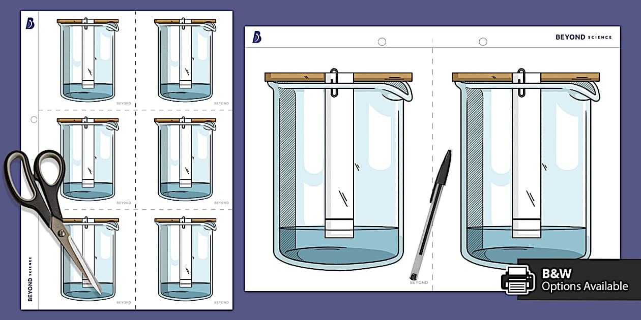 Chromatography Illustration Worksheet | Science | Beyond