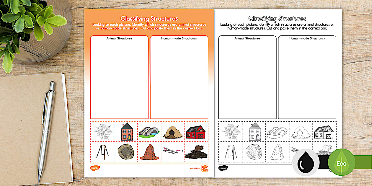 Animal and Human-made Structures Sorting Activity - Twinkl