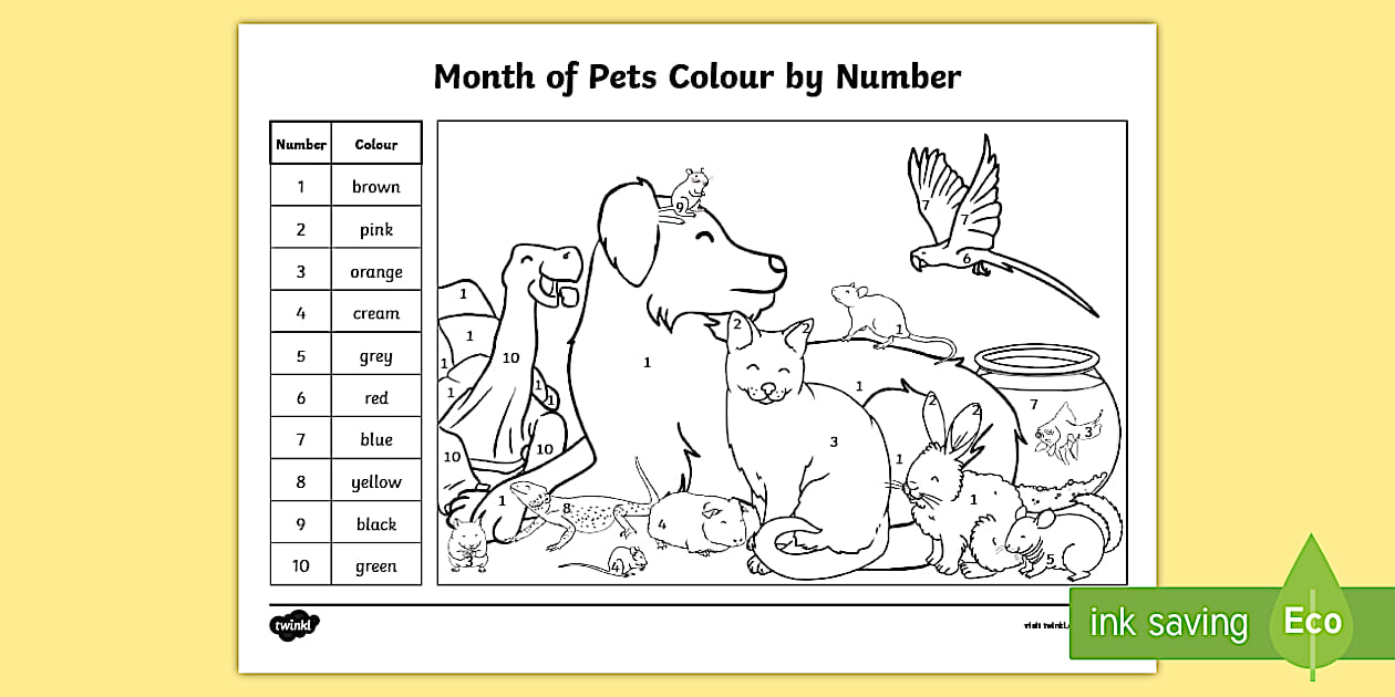 KS1 Month of Pets Colour by Number (teacher made) - Twinkl