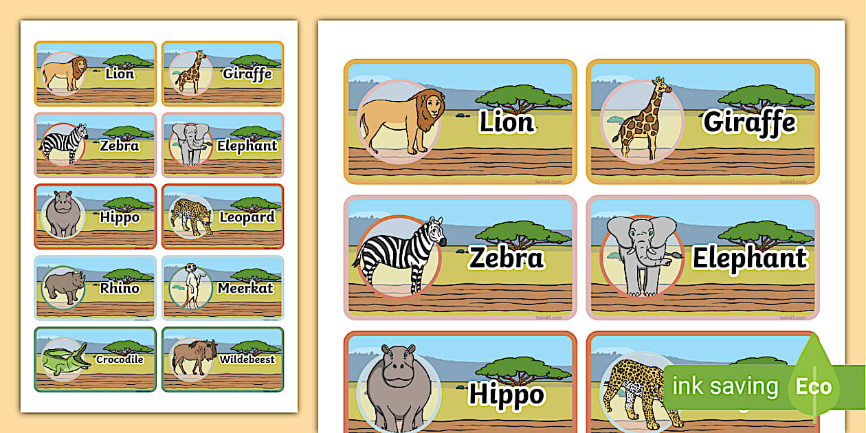 Safari Editable Drawer Labels (teacher made) - Twinkl