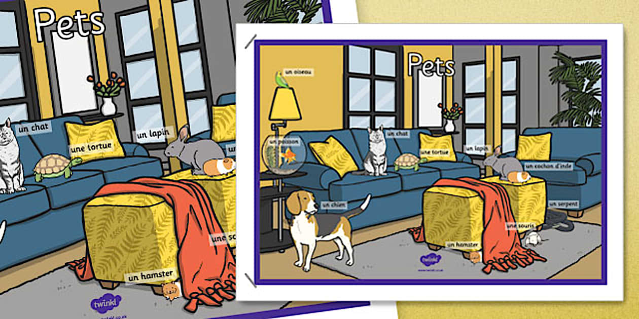 French Pets Display Poster (Hecho por educadores) - Twinkl