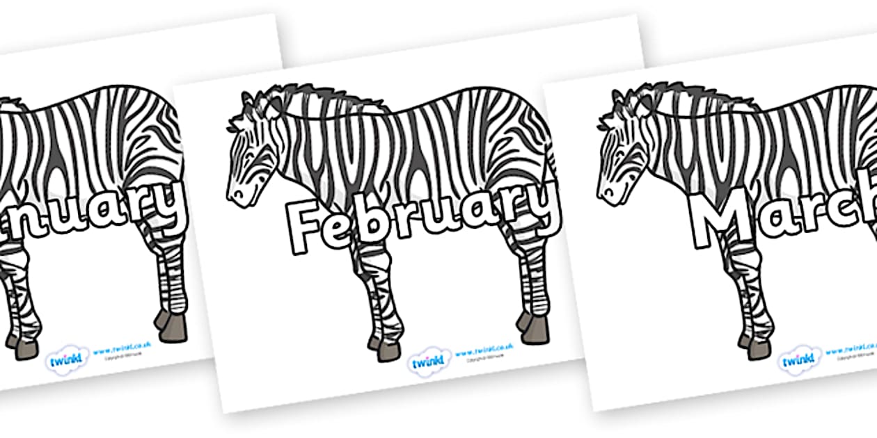 Months of the Year on Zebras (teacher made) - Twinkl