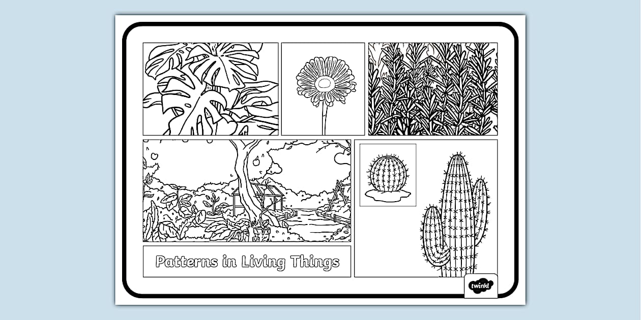 Foundation Patterns in Living Things Title Colouring Page