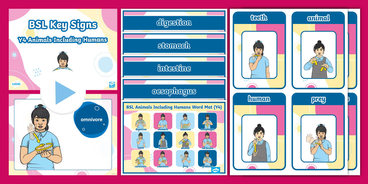 BSL Animals Including Humans Sign Support Pack (Y4) - Twinkl