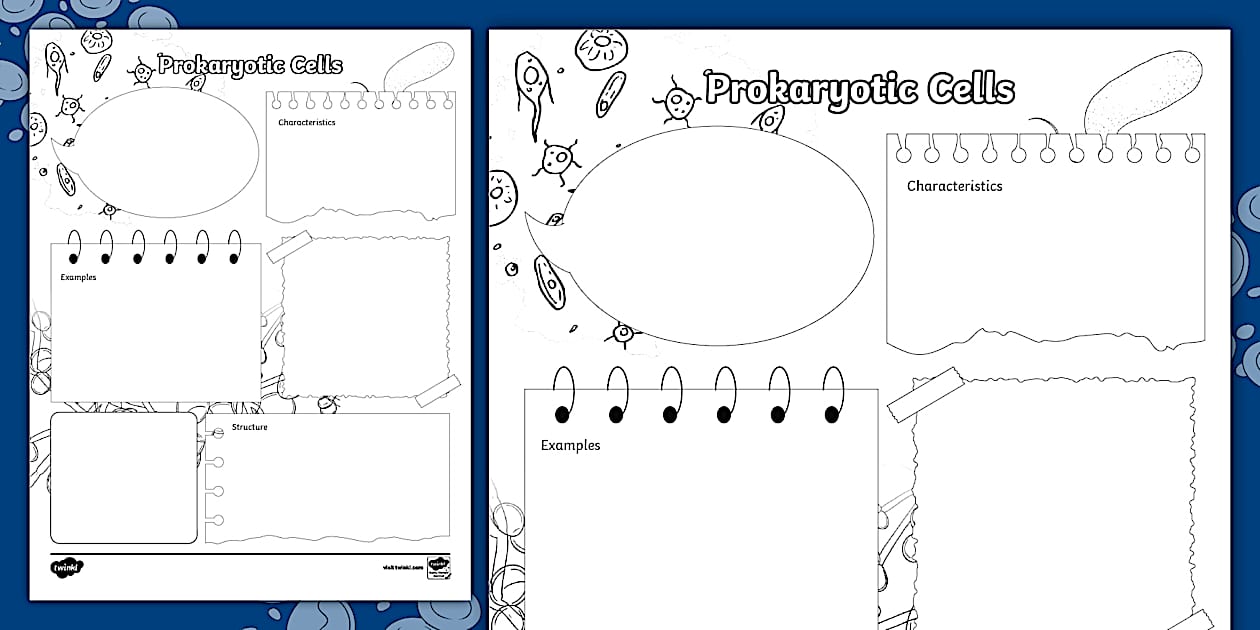Prokaryotic Cell Notes Doodle Organizer for 6th-8th Grade
