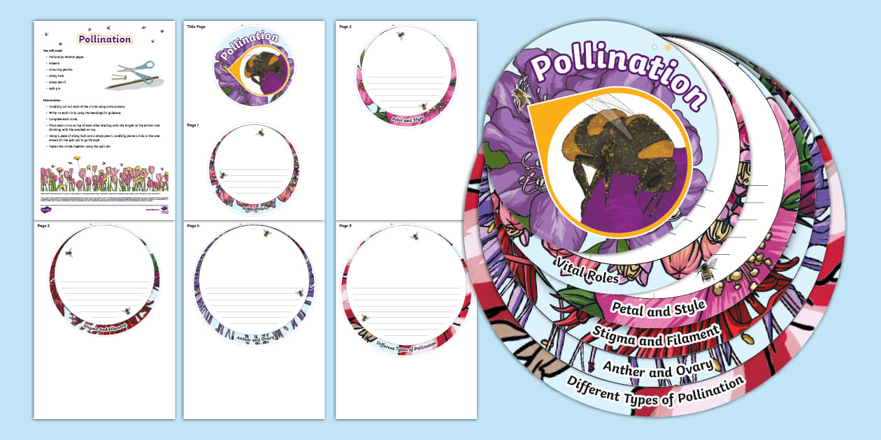 Pollination Circles Booklet - Twinkl Science (teacher made)