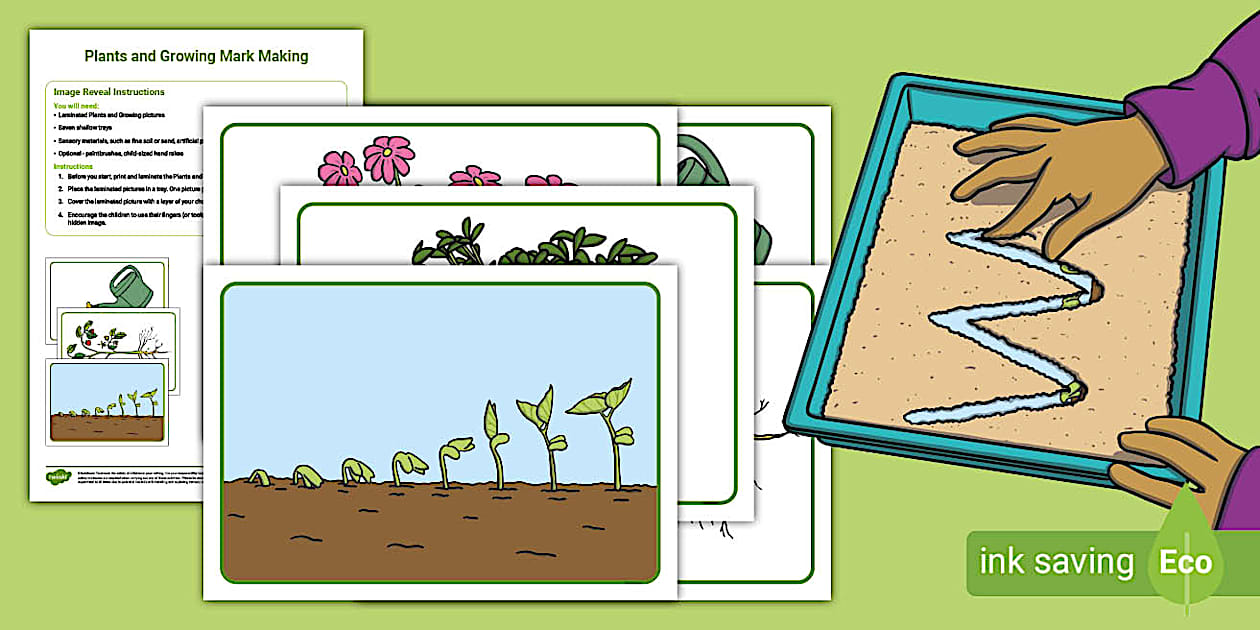 EYFS Plants and Growing Mark-Making Image Reveal | Twinkl