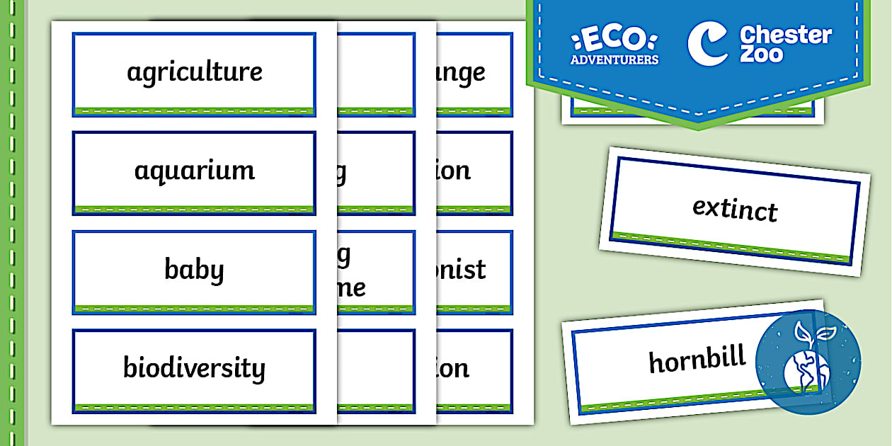 Year 4 Biodiversity: Key Vocabulary Cards (Teacher-Made)