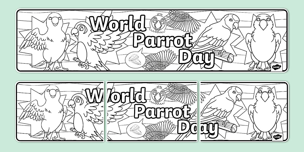 World Parrot Day Colouring Display Banner (teacher made)