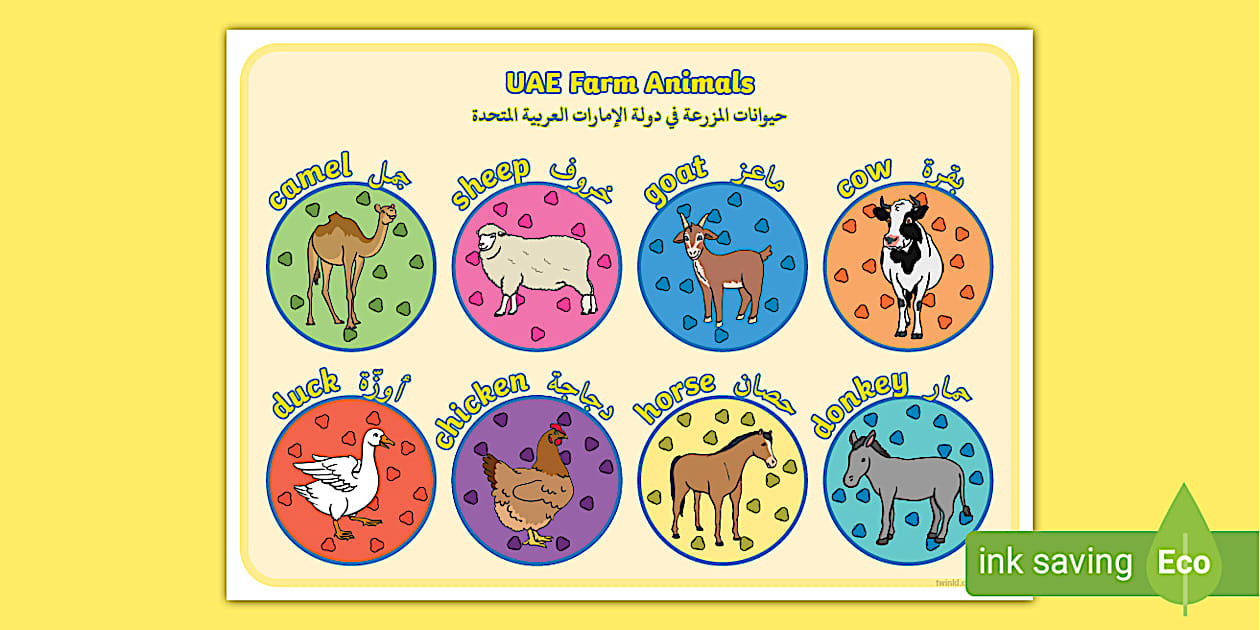 UAE Farm Animals Poster Arabic / English (teacher made)