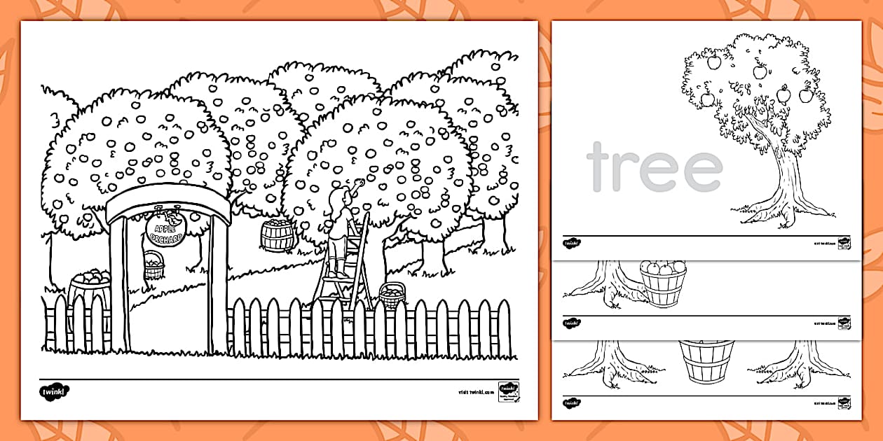 Fall Apple Coloring Pages | Teaching Resource | Twinkl USA