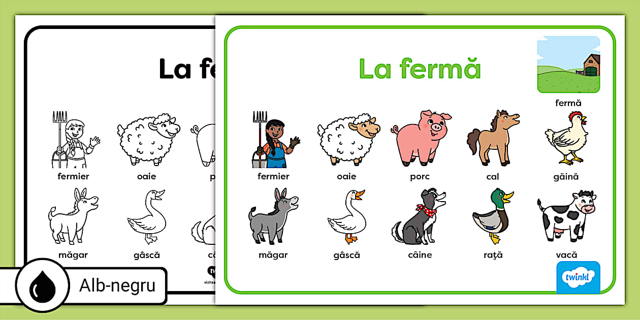 Să mergem la fermă! – Planșă cu vocabular - Twinkl
