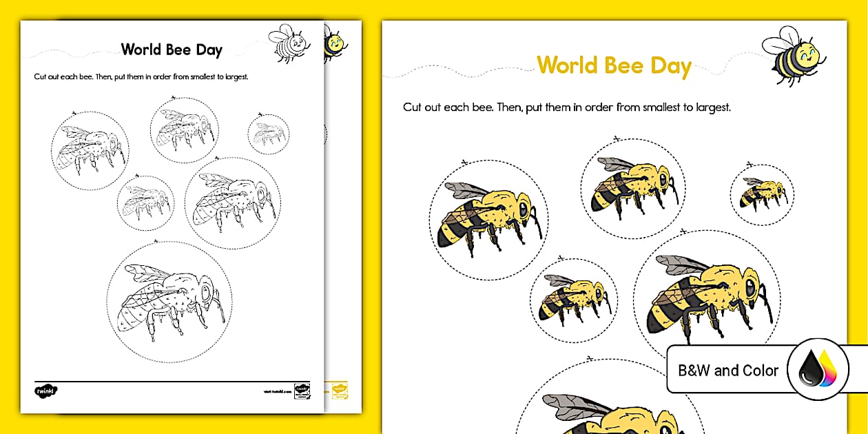 World Bee Day Size Ordering Worksheet | Twinkl USA