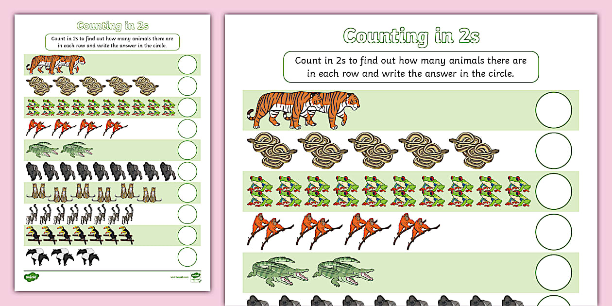 👉 Jungle and Rainforest Animals Counting in 2s Worksheet
