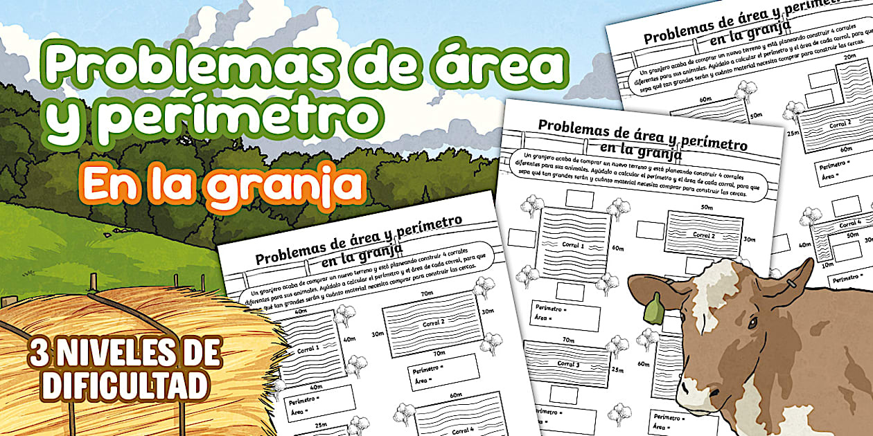 Problemas de área y perímetro