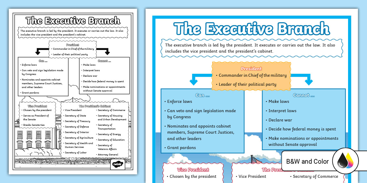 Executive Branch Poster for 6th-8th Grade (teacher made)