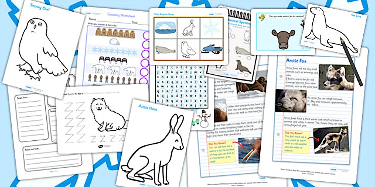 Polar Regions Activity Pack (teacher made) - Twinkl