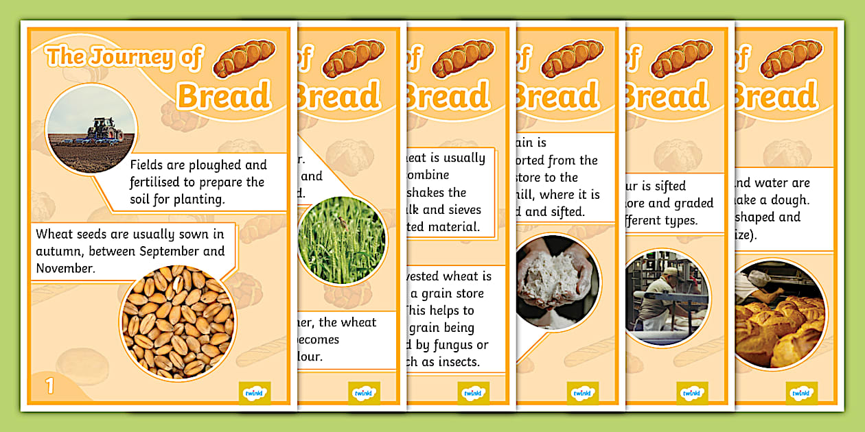 The Journey of Bread Display Posters - KS2 (teacher made)